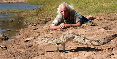 Romulus Whitaker: India's legendary herpetologist and conservationist