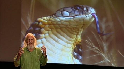 Romulus Whitaker: India's legendary herpetologist and conservationist